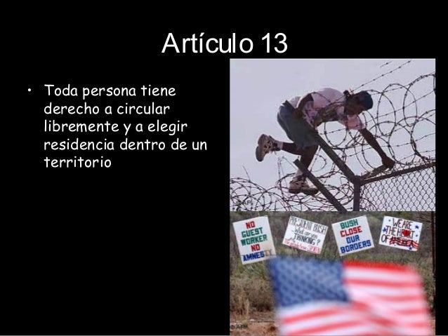 Artículo 13