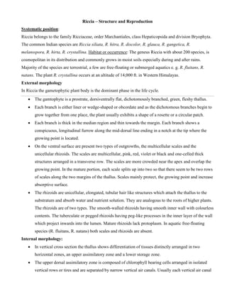 Riccia | PDF