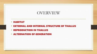 Riccia thallus structure and reproduction | PPTX