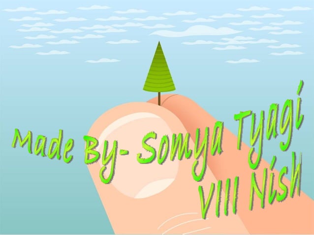 Rice - Geography | PPT | Agriculture | Industries