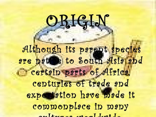 Rice - Geography | PPT | Agriculture | Industries