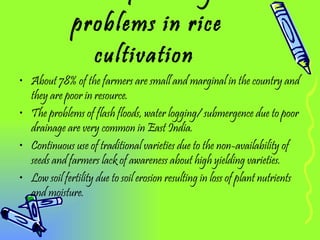Rice - Geography | PPT