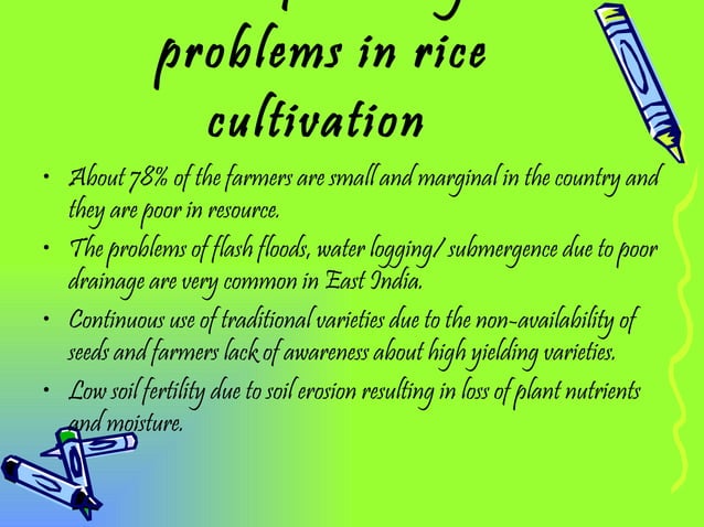 Rice - Geography | PPT | Agriculture | Industries