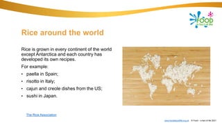 rice-1114pptfc.pptx