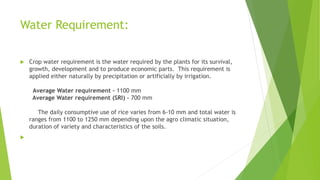 Water Management In Rice... | PPTX