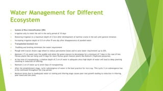 Water Management In Rice... | PPTX