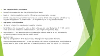 Water Management In Rice... | PPTX