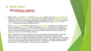 Rice Water management | PPTX