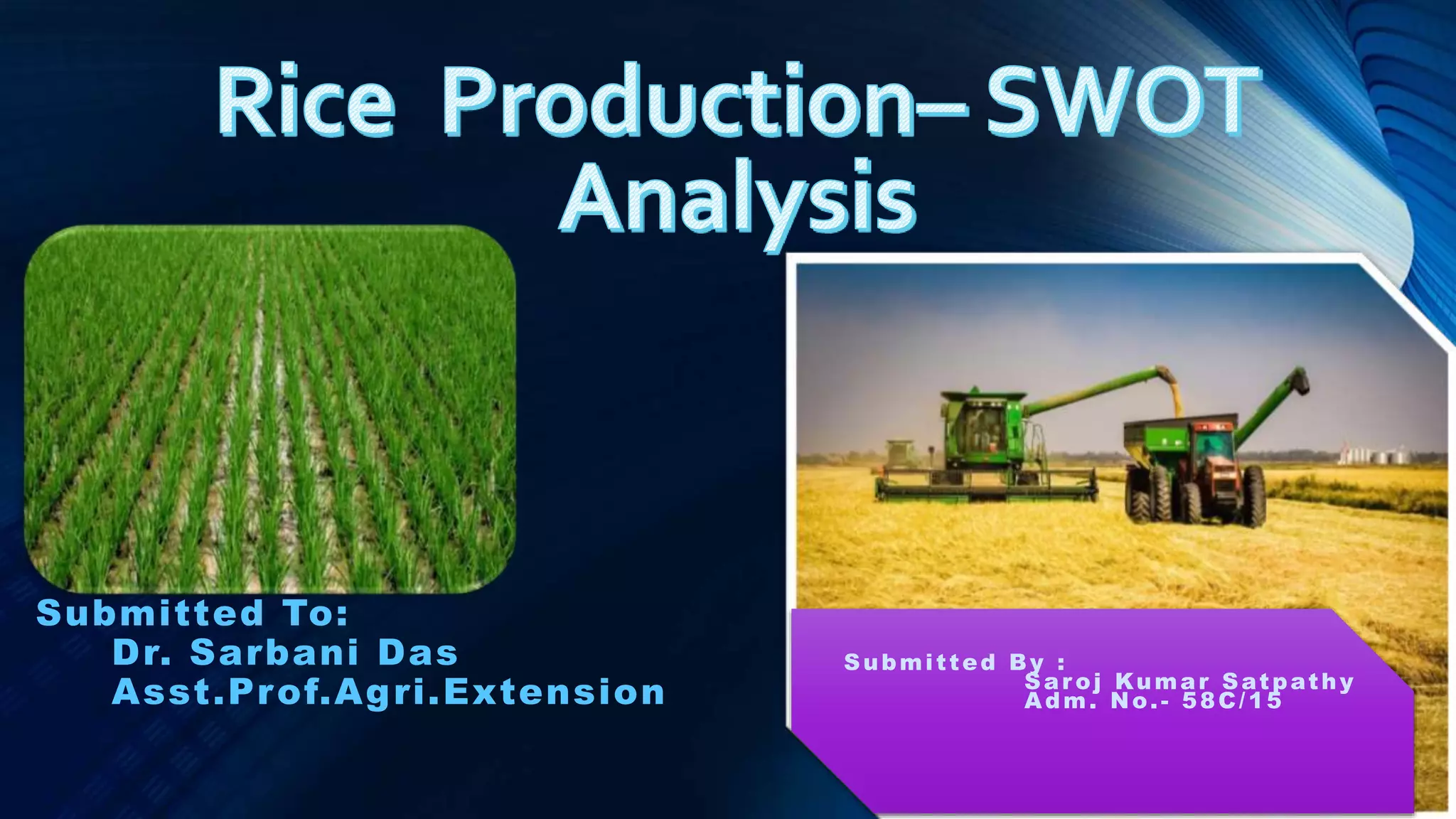 RICE FARMING - SWOT ANALYSIS | PPT