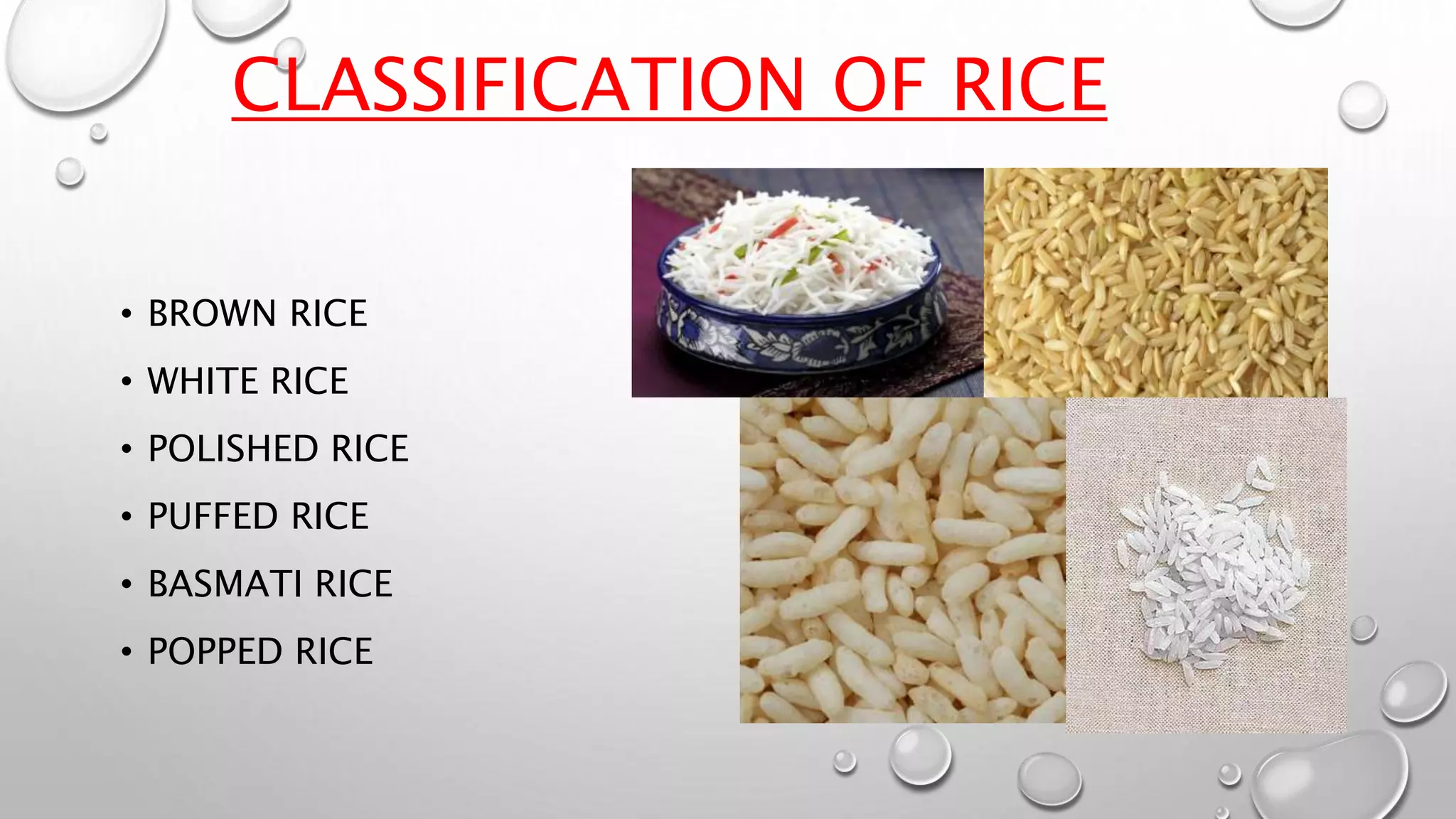 Rice | PPT