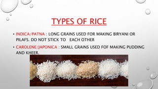 Rice | PPTX