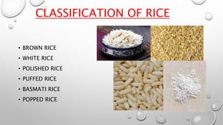 Rice | PPTX