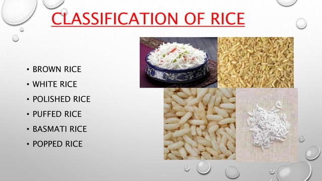 Rice | PPTX