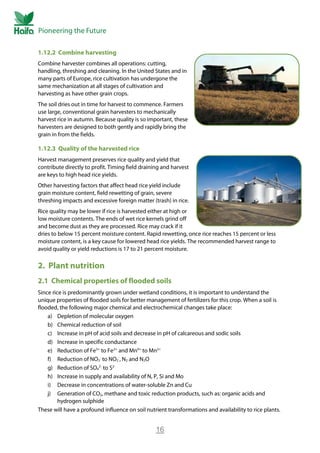 Rice Crop Guide - Rice Fertilizer | PDF