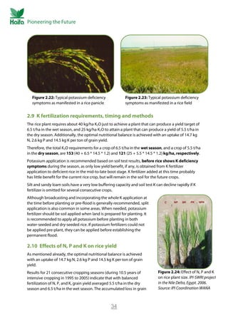 Rice Crop Guide - Rice Fertilizer | PDF