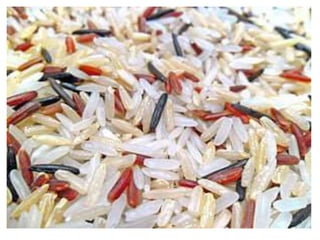 Rice | PPT