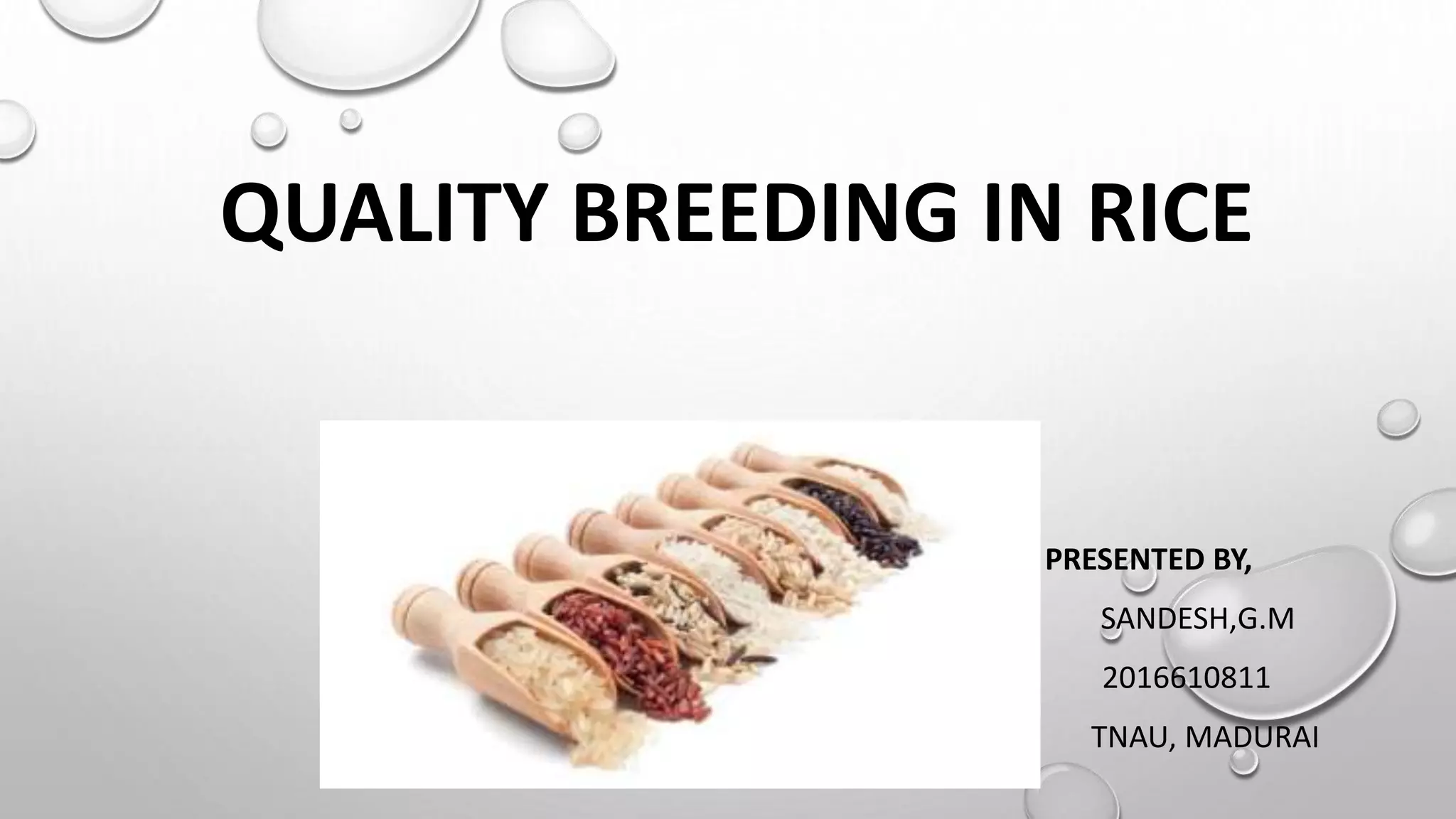 QUALITY BREEDING IN RICE | PPTX