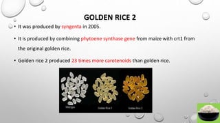 QUALITY BREEDING IN RICE | PPTX