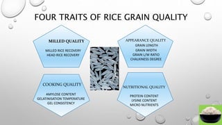 QUALITY BREEDING IN RICE | PPTX