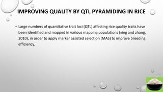 QUALITY BREEDING IN RICE | PPTX