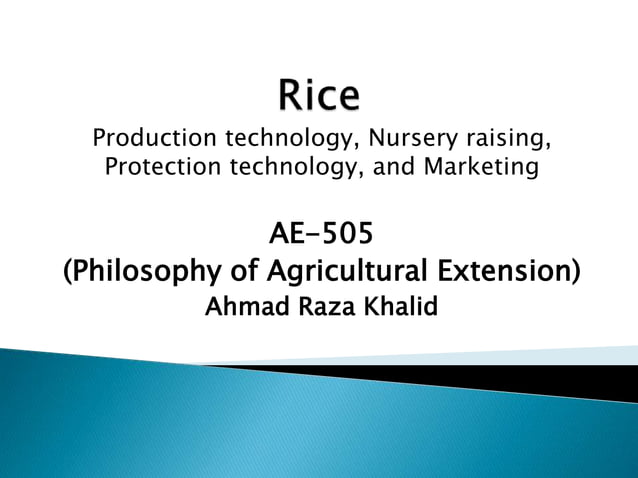 Rice | PPT