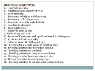 Rice Field Crop | PDF