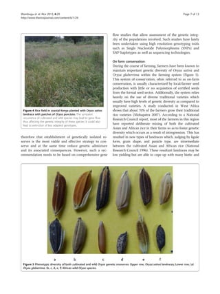 Rice | PDF | Agriculture | Industries