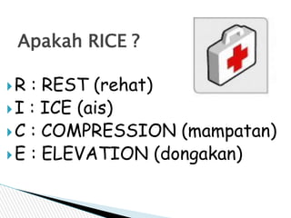 rice.ppt