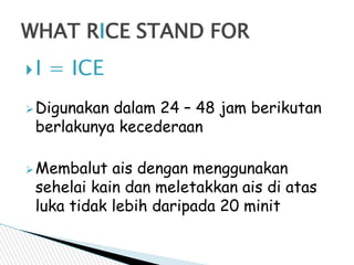 rice.ppt