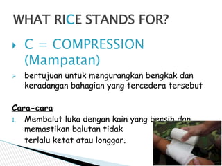 rice.ppt