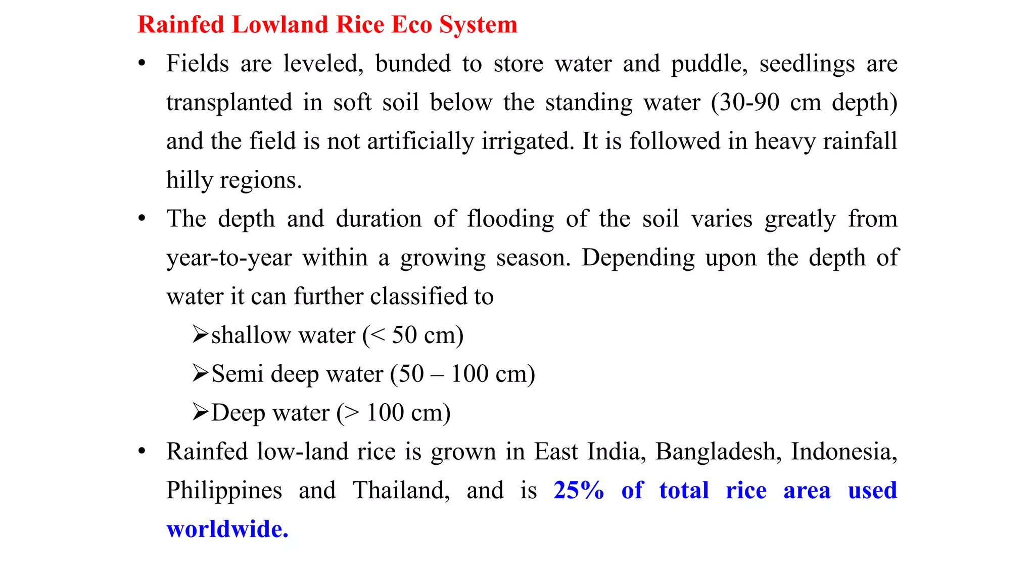 Rice | PPTX
