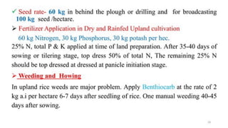 Cultivation practices of rice.pdf......... | PDF