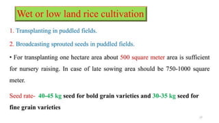 Cultivation practices of rice.pdf......... | PDF