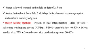 Cultivation practices of rice.pdf......... | PPT