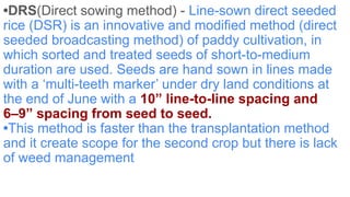 Short notes on Rice crop which provide all the important knowledge ...