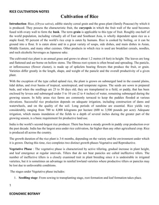 Rice Cultivation in India complete notes. | DOCX