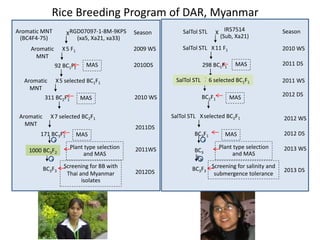 GRM 2011: Strengthening rice breeding in the Mekong -- A community of ...