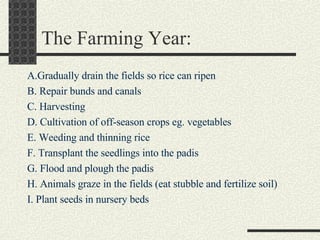 Rice Farming | PPT