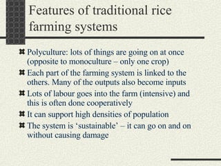 Rice Farming | PPT