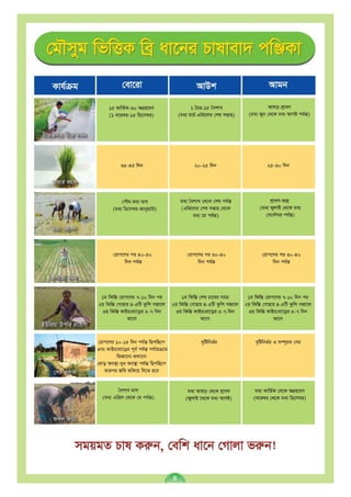 Rice flip-chart | PDF