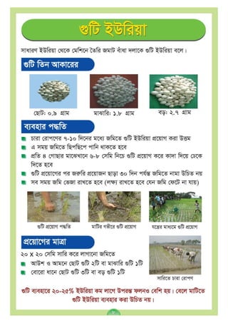 Rice flip-chart | PDF | Free Download