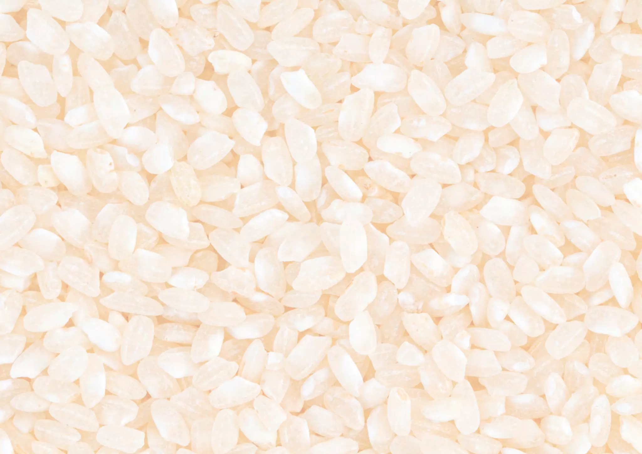 Rice fortification-toolkit | PDF