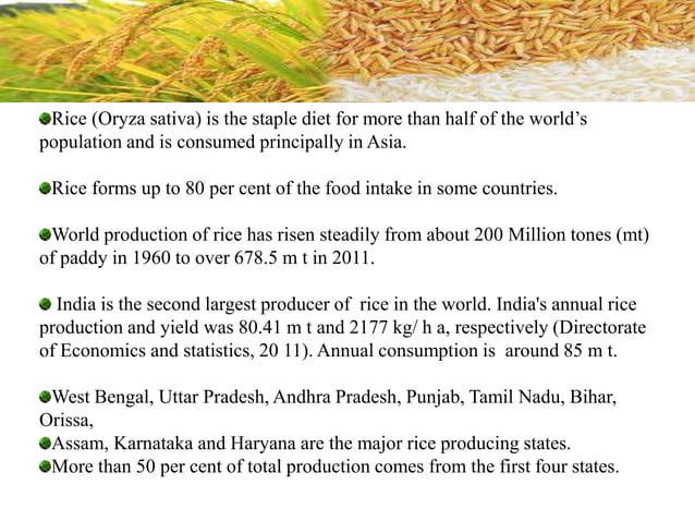 Rice Rice mill hammer mill backing machine | PPT
