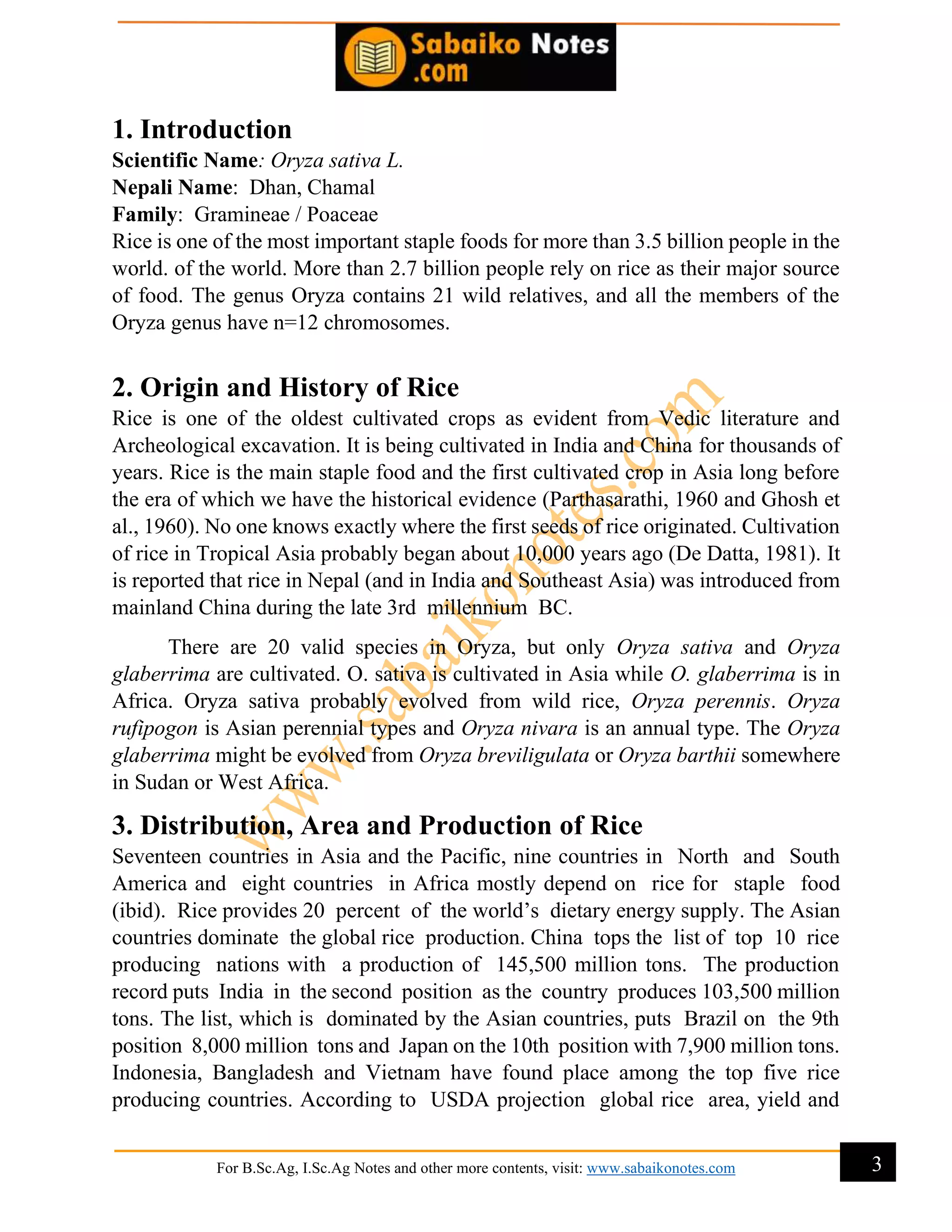Rice Production | Complete Rice Cultivation | PDF