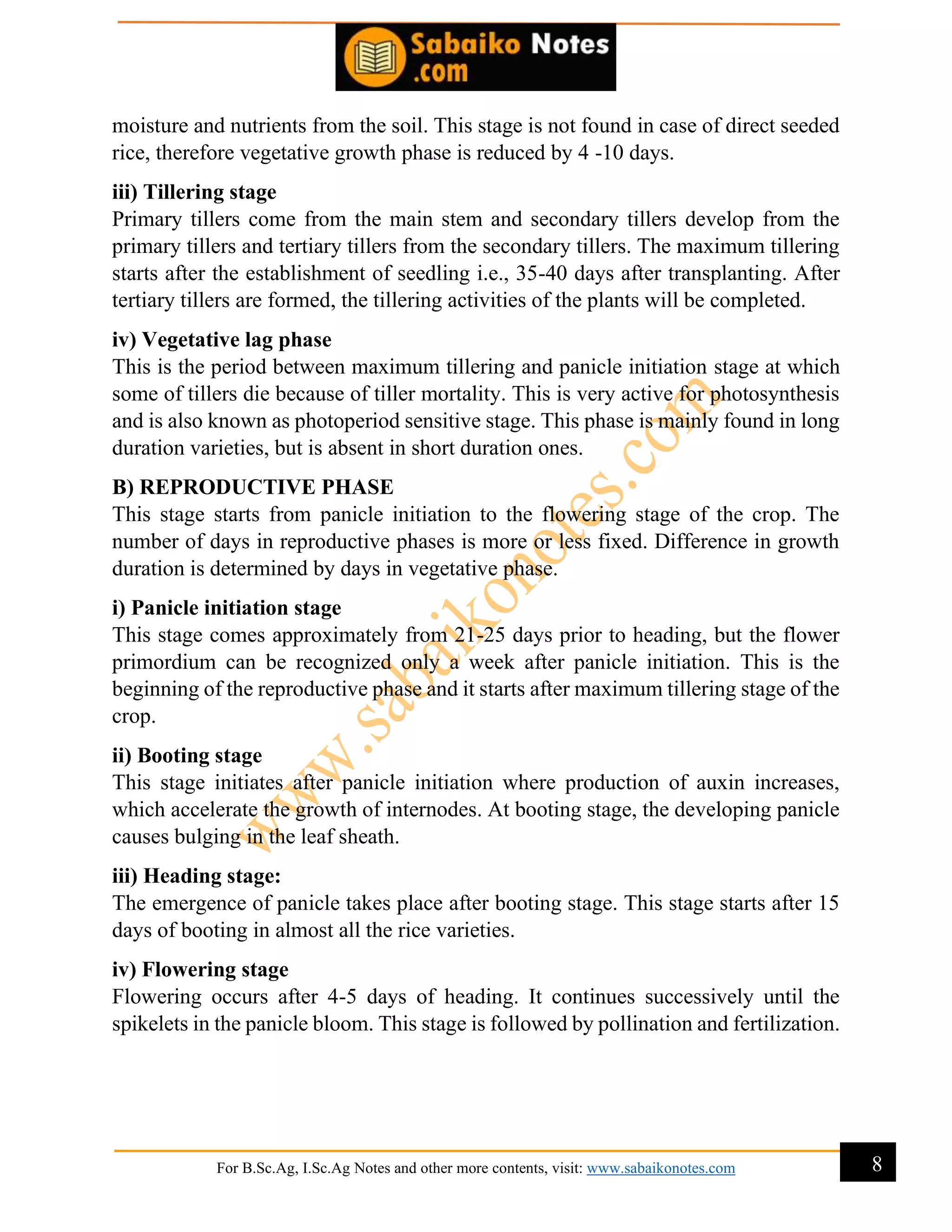 Rice Production | Complete Rice Cultivation | PDF