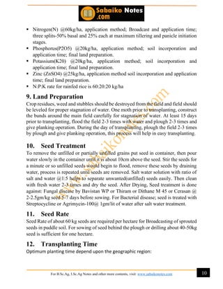 Rice Production | Complete Rice Cultivation | PDF