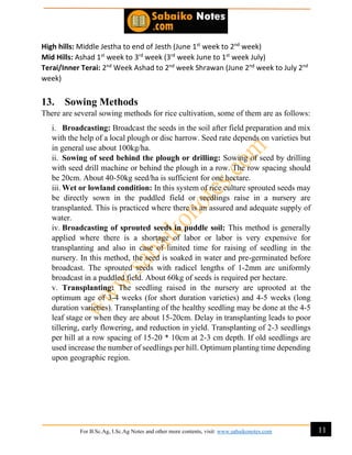 Rice Production | Complete Rice Cultivation | PDF