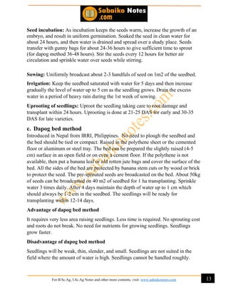 Rice Production | Complete Rice Cultivation | PDF