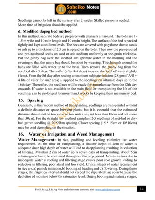 Rice Production | Complete Rice Cultivation | PDF