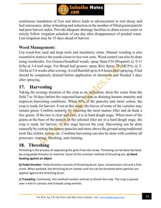 Rice Production | Complete Rice Cultivation | PDF